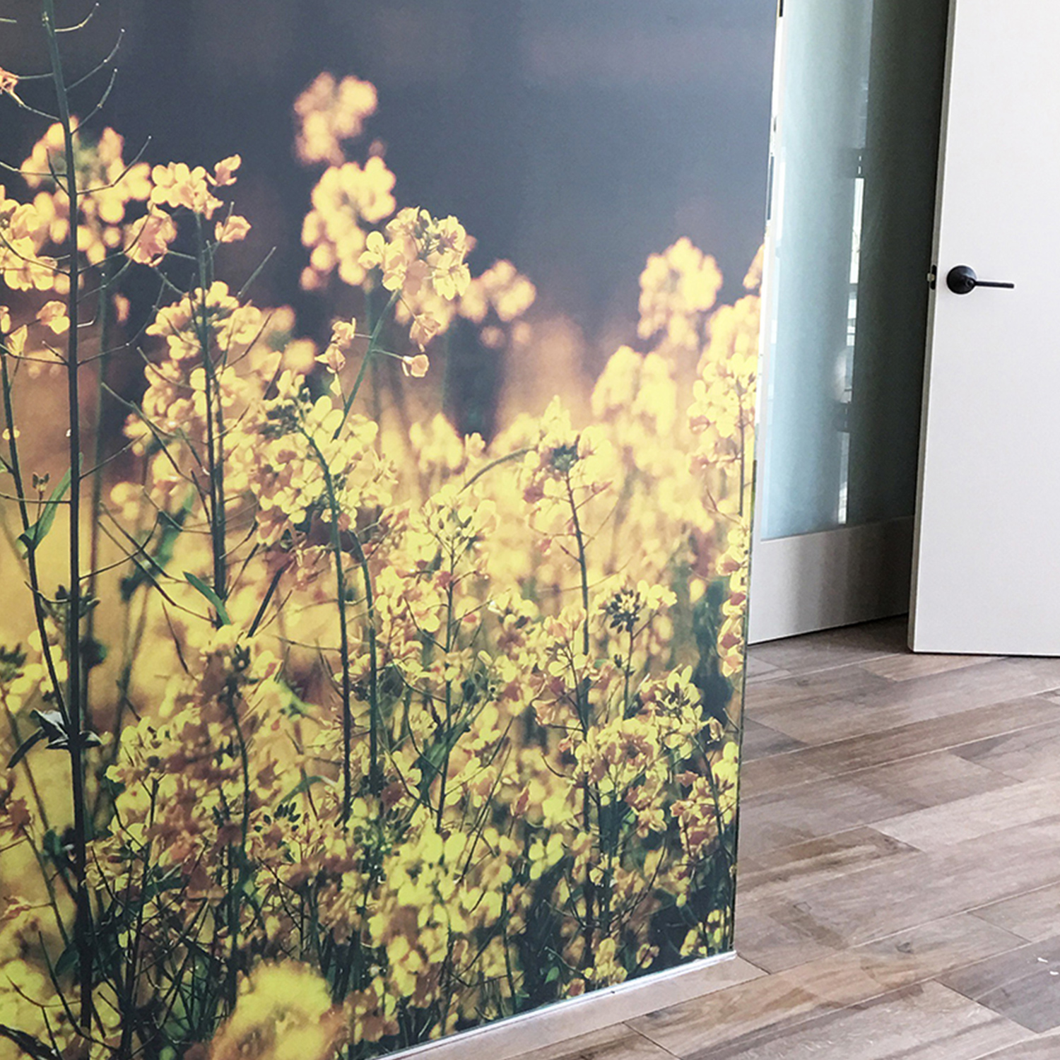 VisualPro - Large Format Printing